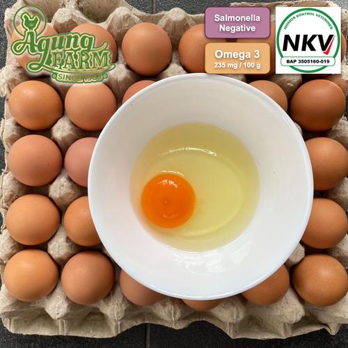 Jual Telur Omega 3 per 1 papan 30 butir Segar dari Kandang NKV ...