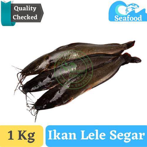 Jual Ikan Lele Segar , Lele Hidup , Ikan Keli , Ikan Kalang , Lindi ...