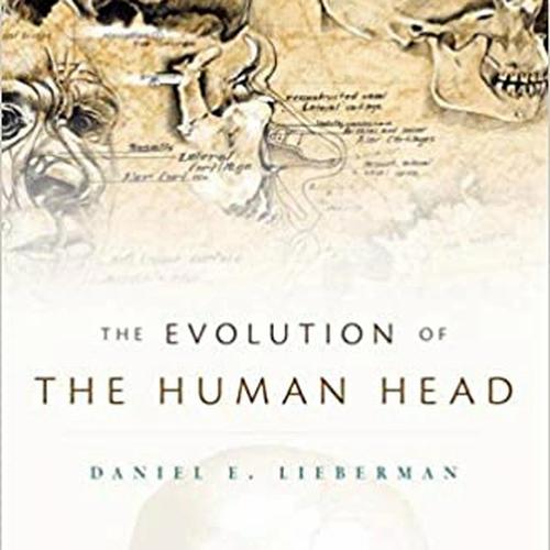 Jual Lieberman, Daniel E. - The Evolution of the Human Head - Kota ...