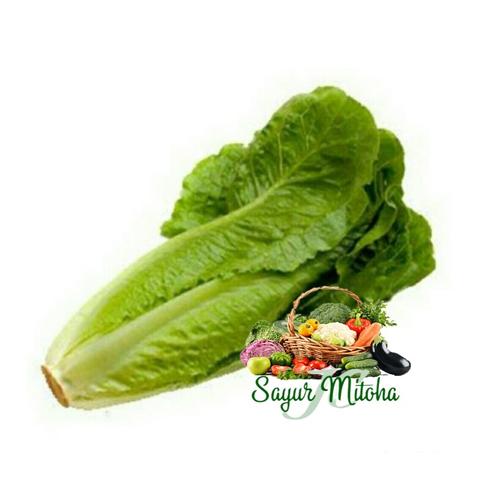 Jual Selada Romain - Sayur Segar - Pasar Online Bandung - 1/4 kg - Kota ...