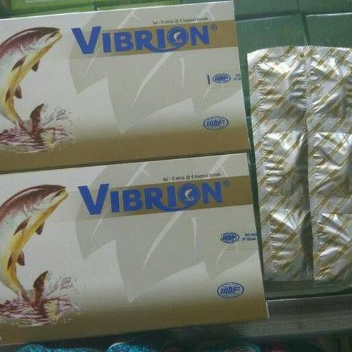 Jual VIBRION vitamin ibu hamul isi 30 softgel - Jakarta Pusat - Berkah ...
