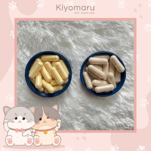 Jual ORIGINAL Tranfer Factor Suplemen Imun bisa juga Vitamin Kucing ...