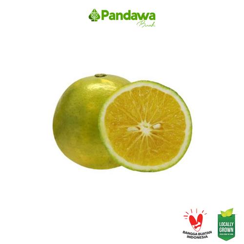 Jual Jeruk Baby Java 1Kg / Jeruk Malang / Oleh-Oleh Khas Batu Malang ...