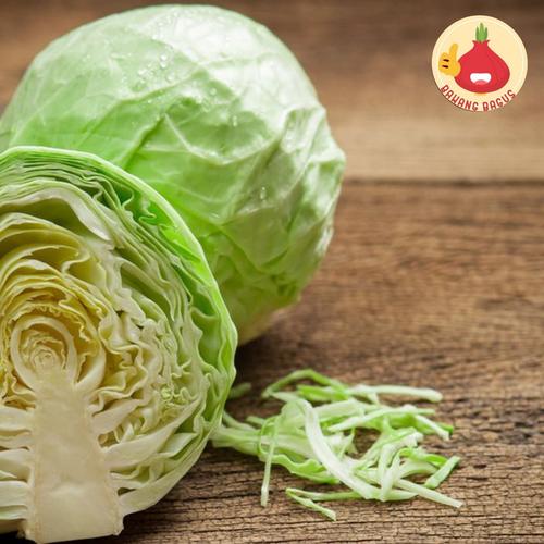 Jual Sayur Kol/Sayuran Kol/Sayuran Kol Putih [250gr&500gr ...