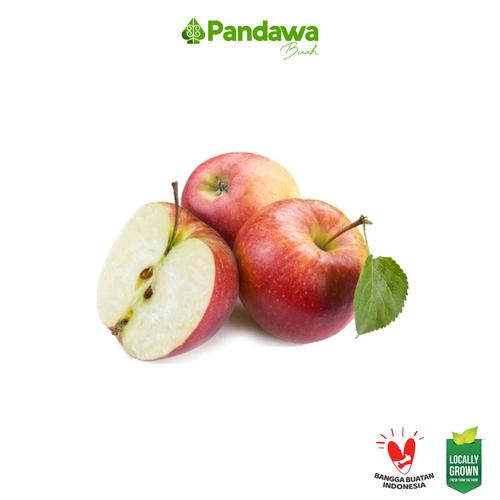 Jual Apel Ana 1Kg / Apel Malang / Oleh-Oleh Khas Batu Malang - Sedang ...