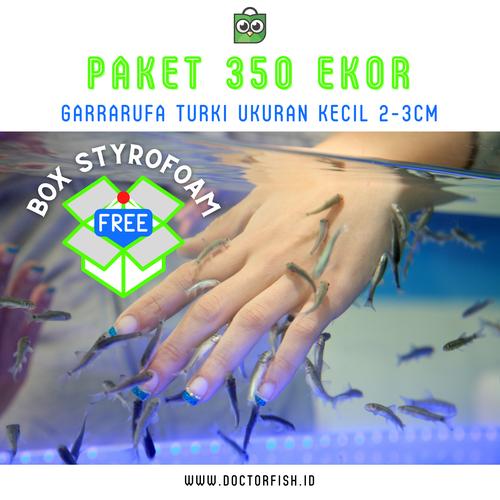 Jual 350 Ekor Garra Rufa - Ikan Terapi - Include Pack Box - Kab ...