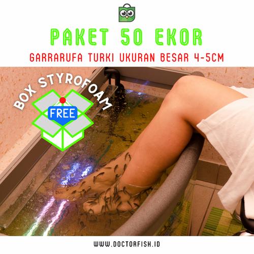 Jual 50 Ekor Garra Rufa Besar - Ikan Terapi - Include Pack Box - Kab ...