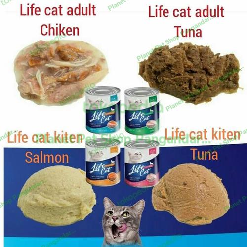 Jual life cat kaleng - Salmon Kitten - Kab. Pangandaran - Planet Pet ...