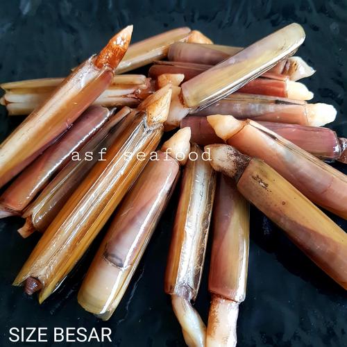 Jual kerang bambu - 1 kg - Kota Bekasi - asf seafood | Tokopedia