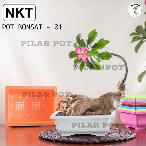 Jual pot bunga tanaman ceper NKT BONSAI 01 WARNA WARNI - NKT BONSAI 01 ...