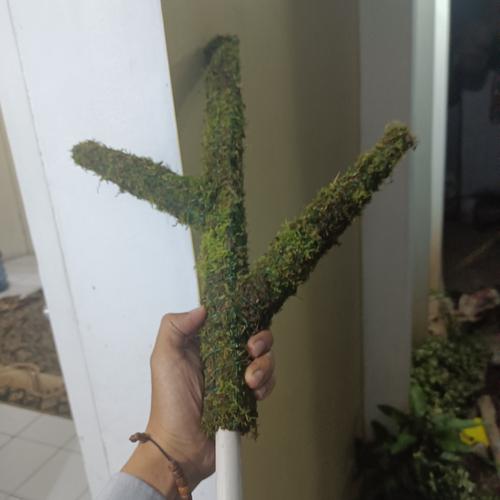 Jual turus lumut pipa kawat bercabang dua panjang 60 cm - Kab. Cianjur ...