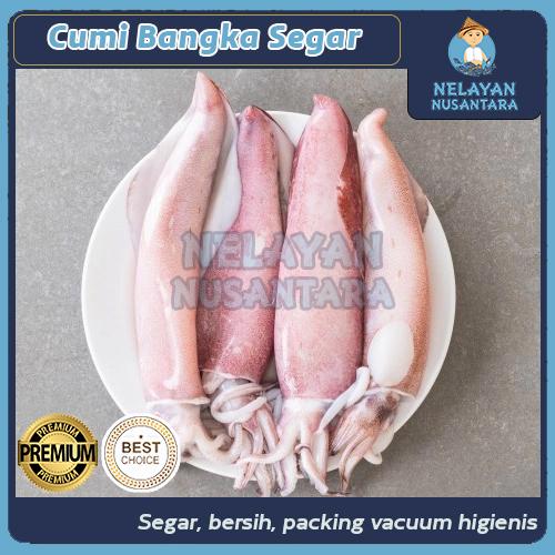 Jual Cumi Segar sz Besar - Cumi Bangka 1 kg isi 5-8 ekor - Jakarta ...