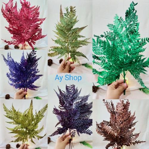 Jual daun pakis kering / bahan rustik - Natural, 5 ikat - Kota ...