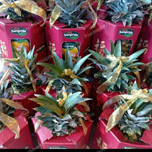 Jual nanas honey sunpride jumbo/pcs special momet - Jakarta Barat ...