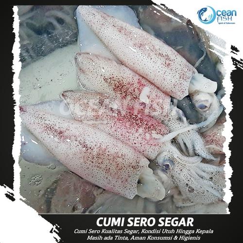 Jual Cumi Sero Segar - Cumi Segar Fresh - Cumi Kecil Sero Segar Utuh ...