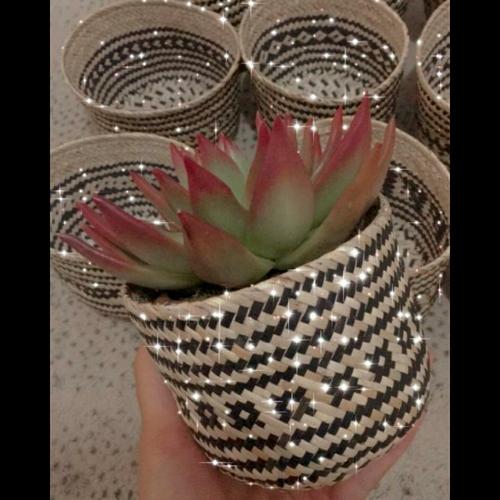 Jual Cover Pot Rotan Motif Kalimantan Kecil Mini, Keranjang Rotan Mini ...