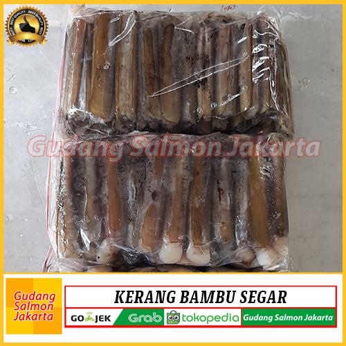 Jual Kerang Bambu Lorjuk Segar 1kg- Kerang Bambu Fresh - Kerang Bambu ...