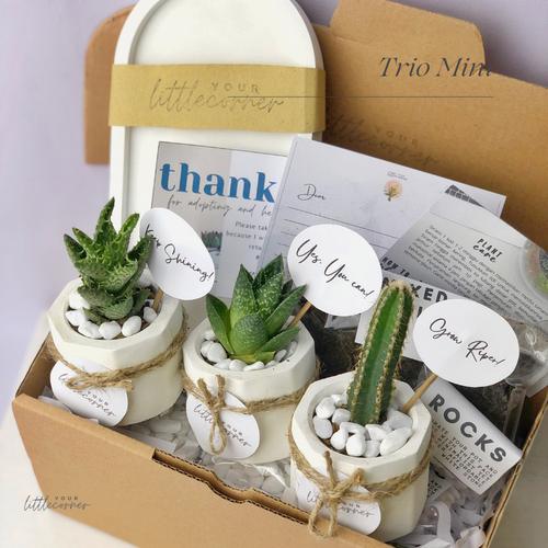 Jual Trio Mini | Gift Box Set Cowok/Cewek Kado Hampers Souvenir Ulang ...
