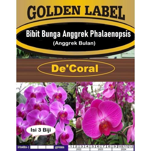Jual Bibit Bunga Anggrek Phalaenopsis|Bibit Anggrek Bulan|Anggrek Pink ...