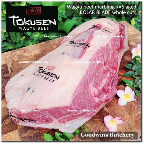 Jual 6.5kg BOLAR BLADE wagyu beef Tokusen marbling 5 aged WHOLE CUT ...