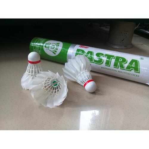 Jual Kok Bulutangkis Pastra Hijau 12 Pcs Badminton Shuttlecocks ...