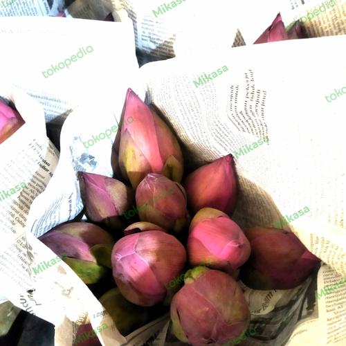 Jual bunga teratai bunga tangkai asli segar - Jakarta Barat - Mikasa ...