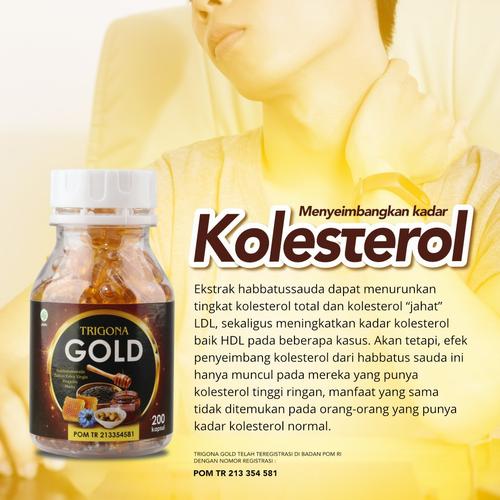 Jual trigona gold 200 kapsul - Kota Makassar - Saha Herbal | Tokopedia