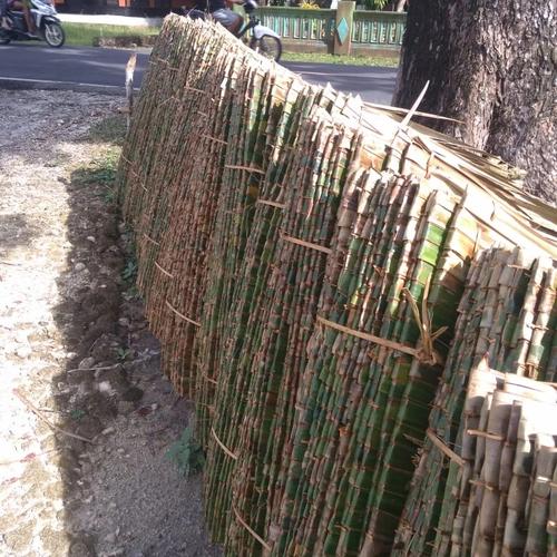 Jual atap dahon daun rumbia 100 pcs - Jakarta Utara - blue lagoon store ...