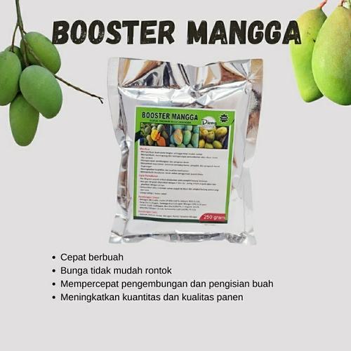 Jual Pupuk Booster Mangga Organik agar cepat berbuah 250 gram - Kab. Bantul - Pupuk Organik ...