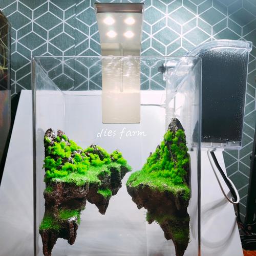 Jual Aquarium Aquascape Mini Full Set Soliter Acrylic Lampu dan Filter ...