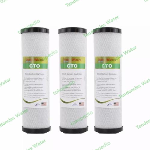 Jual CARTRIDGE FILTER CTO 10 INCH | FILTER AIR CTO 10 INCH - Jakarta ...