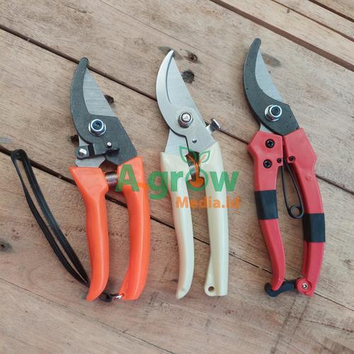 Jual Gunting Dahan Ranting Pruning Alat Potong Tangkai Stek Pruning ...
