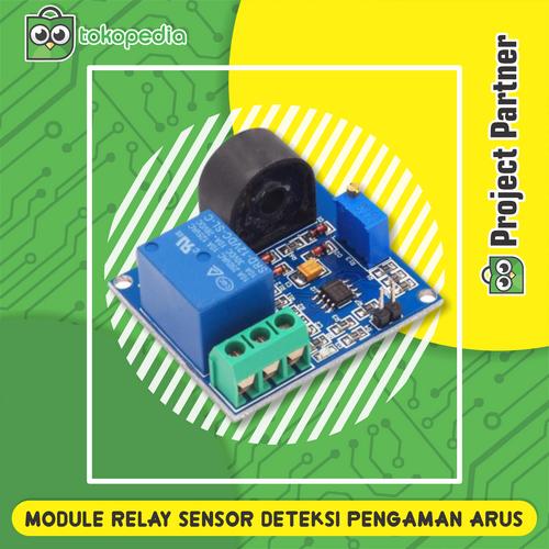 Jual Module relay sensor deteksi pengaman arus lebih DC 12V 24V 5V Over ...