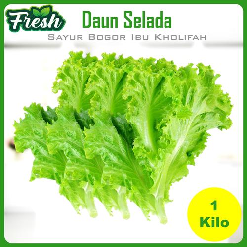 Jual Selada Sayur Sayuran Makanan Segar Bogor 1Kg - Kota Bogor - Sayur ...