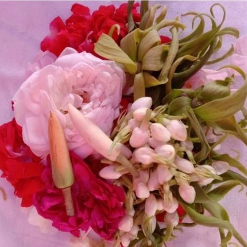 Jual Kembang 7 Rupa / Kembang Telon/ Kembang Mandi - Kembang Telon - 5 ...