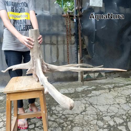 Jual kayu laut drift wood kl 2460 aquascape aquarium - Kota Tangerang ...