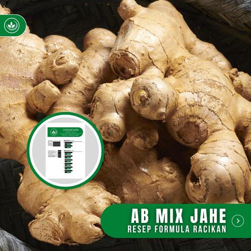 Jual Resep AB Mix Jahe Formula Racikan Nutrisi Pupuk Jahe - Kab ...