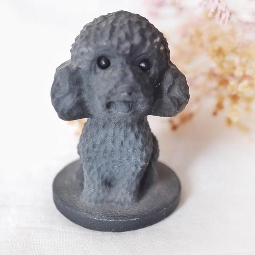 Jual Totoro mickey mouse poodle chikorita black obsidian - Totoro - Kab ...
