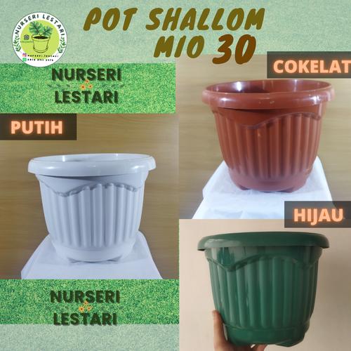 Jual Pot Bunga Shallom Mio 30 - PUTIH/COKELAT - Hijau - Jakarta Selatan ...