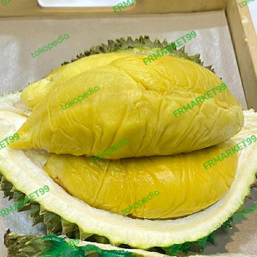 Jual durian musang king malaysia manis | durian terbaik malaysia -+ 1.5 kg - Jakarta Barat ...