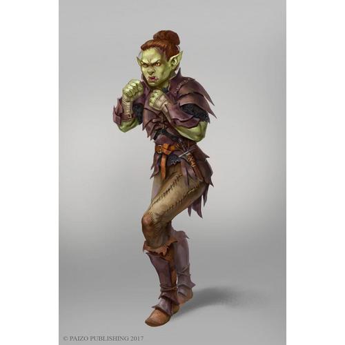 Jual Dungeon Party Furious Orc Board Game - Jakarta Utara ...