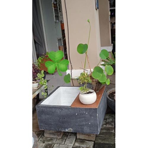 Jual Full Set D Kolam Air Taman Minimalis|Kolam Ikan|Pot Tanaman - Kota ...