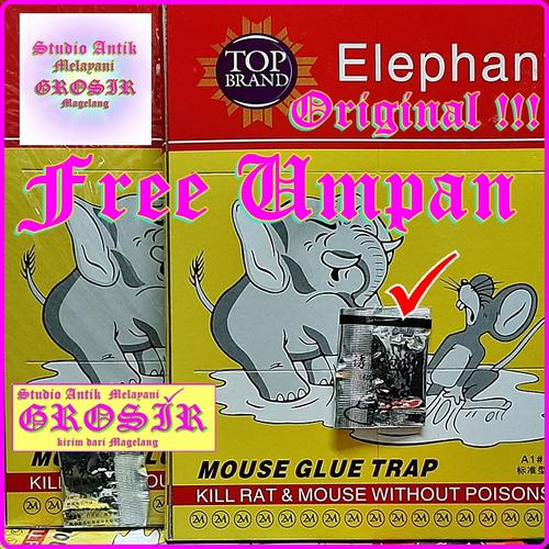 Jual LEM TIKUS ELEPHANT 22100 - LEM TIKUS CAP GAJAH - RACUN TIKUS MAO ...