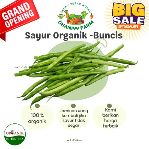 Jual Sayur Organik Murah Sertifikat Organik Indonesia Buncis Organik ...