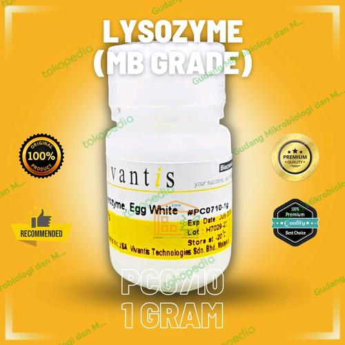 Jual Lysozyme, Egg White (Molecular Biology Grade), 1 Gram - Kab. Bogor ...