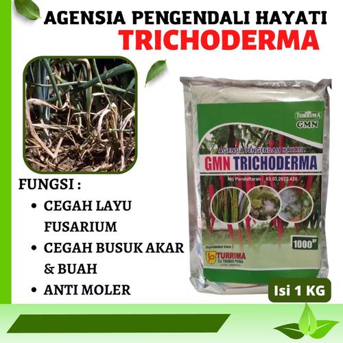 Jual Trichoderma Hayati Tanaman Cabai, Pupuk Cabai Anti Busuk Buah Dan ...
