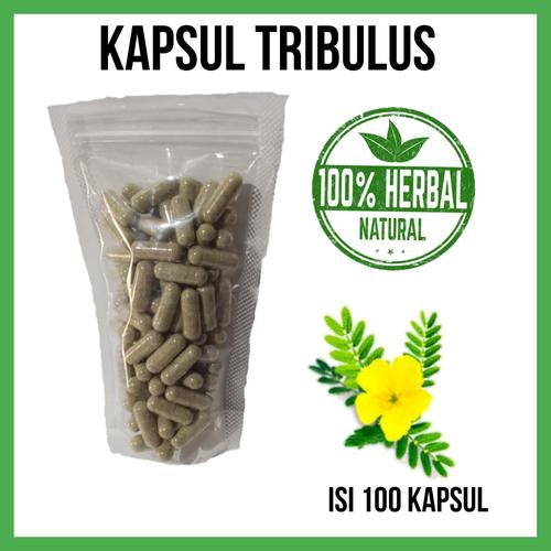 Jual Kapsul Tribulus ASLI isi 100 ALAMI , ORGANIC, Berkhasiat - Kab ...