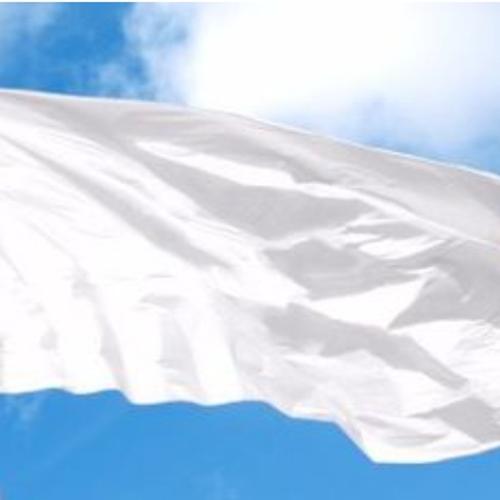 Jual Bendera polos,bendera merah putih,bendera hitam polos,bendera ...