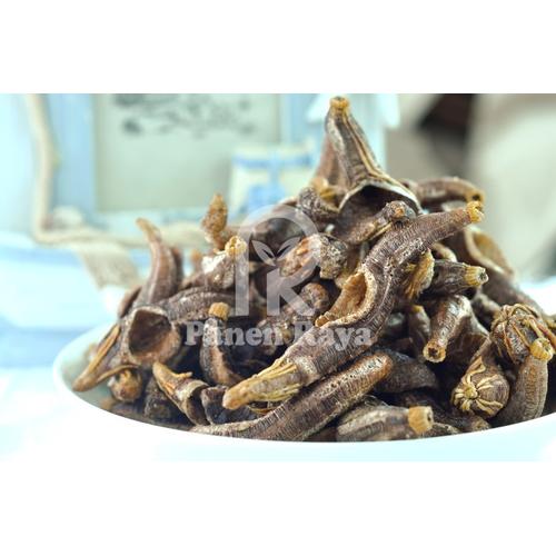 Jual Tripang/Teripang Pr 80gr Keripik Timun Laut - TRIPANG ISI - Kota ...