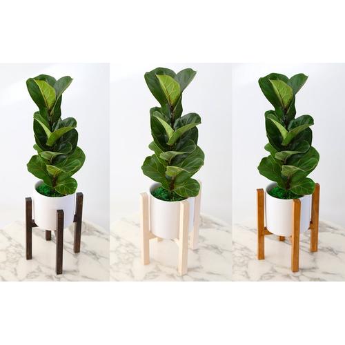 Jual Standing Pot | Rak Tanaman Tanaman Bunga | Stand Pot Minimalis ...